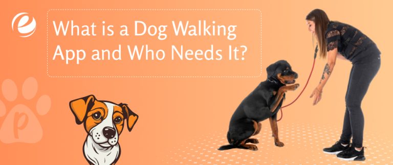 Pet Care App Like Rover: Step-by-Step Development Guide